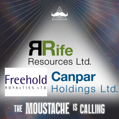 Movember - Team